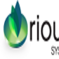 Orious System Pvt Ltd | Upwork