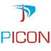Picon Infotech Pvt Ltd | Upwork
