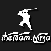 TheTeam.Ninja | Upwork Company Profile - Hire Today
