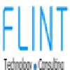 Flint Technology|Consulting | Upwork Company Profile - Hire Today