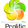 Prolific Web Solutions | Upwork