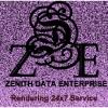 Zenith Data Enterprise | Upwork Company Profile - Hire Today