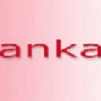 Anka Software | Upwork