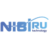 Nibiru Technology One | Upwork Company Profile - Hire Today