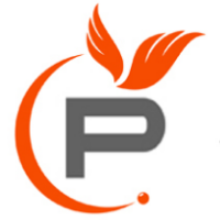 Phoenix Internet Marketing | Upwork Company Profile - Hire Today