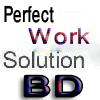 Perfect Work Solution | Upwork Company Profile - Hire Today