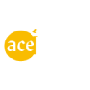 Ace I Solutions | Upwork