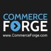 Commerce Forge LLC | Upwork Company Profile - Hire Today