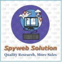 Spy Web Solution | Upwork Company Profile - Hire Today