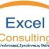 Excel Consulting | Upwork