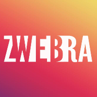 Zwebra Web Studio Inc. | Upwork Company Profile - Hire Today