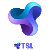 Technology SoftZone Ltd | Upwork Company Profile - Hire Today