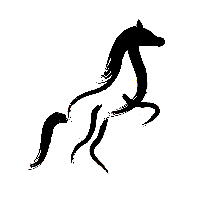 Oxilo Consultancy Services | Upwork Company Profile - Hire Today