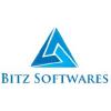 Bitz Software Company | Upwork Company Profile - Hire Today
