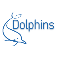 Dolphins | Upwork Company Profile - Hire Today
