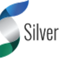 Silver Solutions | Upwork Company Profile - Hire Today
