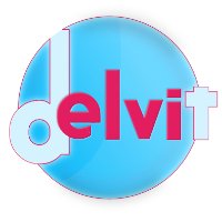 DELVIT | Upwork Company Profile - Hire Today