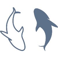 Dev Dolphins | Upwork Company Profile - Hire Today