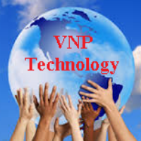 VNP Global Technology Solutions | Upwork