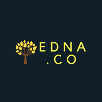 Edna.co | Upwork Company Profile - Hire Today