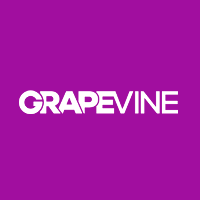 Grapevine Digimedia Pvt Ltd | Upwork