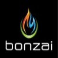 Bonzai Development - IT Consulting and IT Services: Proven Strategy. Successful Delivery. Expert ...