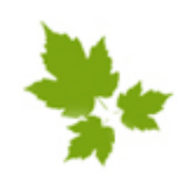 Techlet Solutions Pvt. Ltd. | Upwork Company Profile - Hire Today