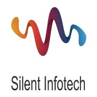 Silent Infotech Pvt Ltd | Upwork Company Profile - Hire Today