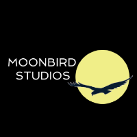 Moonbird Studios, LLC | Upwork Company Profile - Hire Today