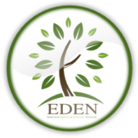 Eden Dream | Upwork Company Profile - Hire Today